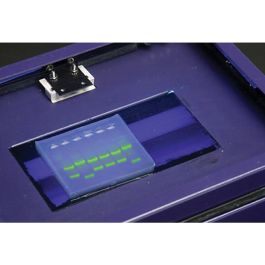 Edvotek Sybr Safe Dna Stain Concentrate For 750m