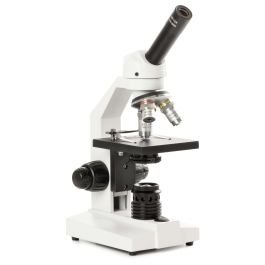 Microscope Novex Fl-100-Tungsten 600x