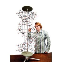 Orbit Proview DNA Model Kit Display Stand